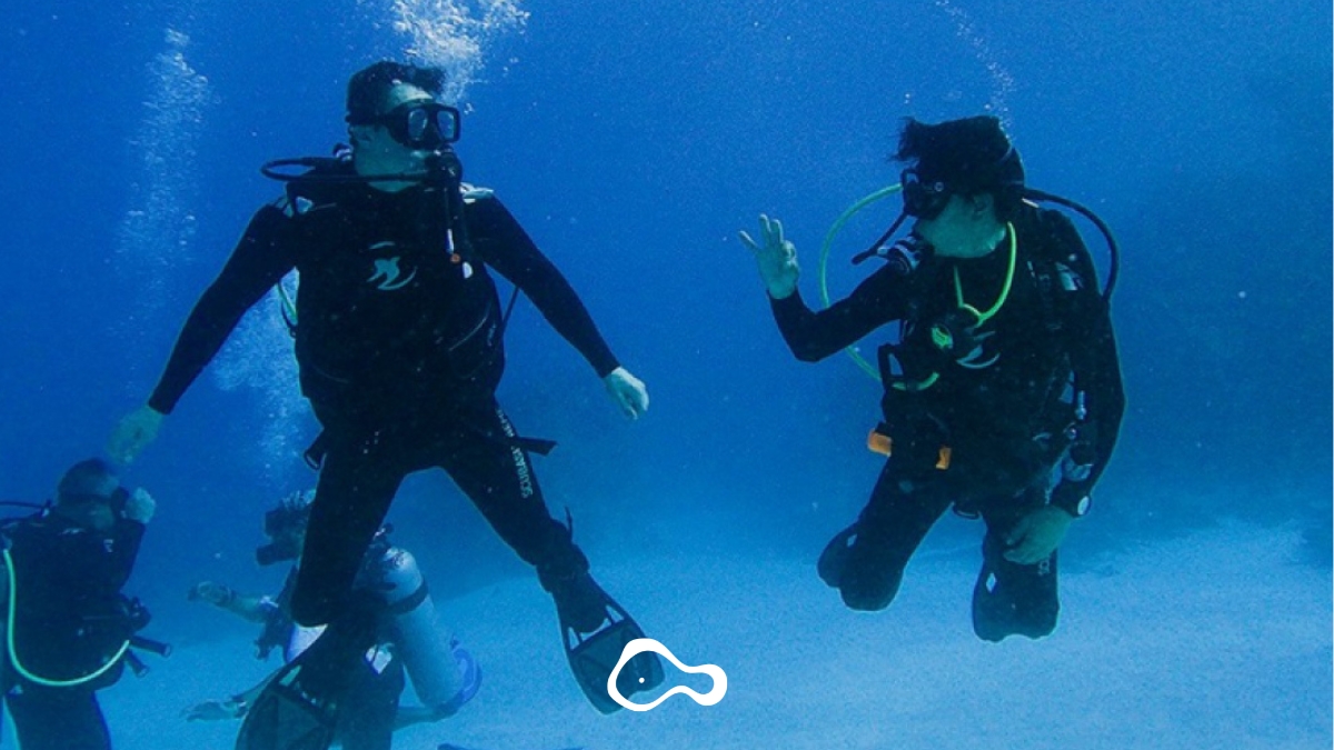 Scuba diving for beginners - Scuba Diving México